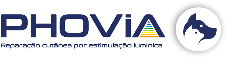 Como funciona Phovia - Phovia